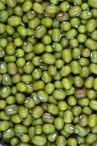 Mung-Bean-1024×684 – Department of Agriculture Sri lanka