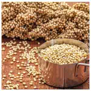 Crop Production – Department of Agriculture Sri lanka