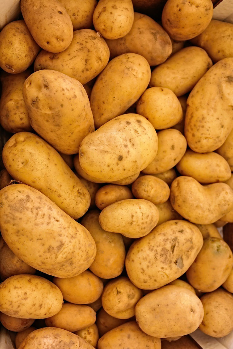 potatoes-411975_1280 – Department of Agriculture Sri lanka