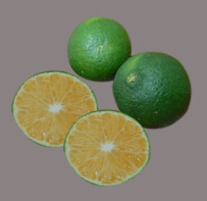 Fruit Crops-Jamanaran - E - Department of Agriculture Sri lanka
