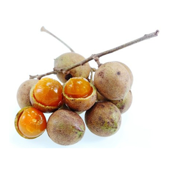 Fruit Crops - Ceylon-oak-S - Department of Agriculture Sri lanka