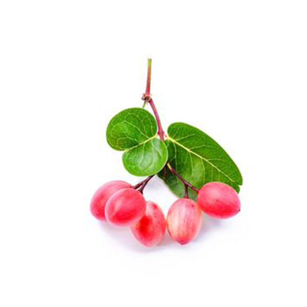 Crops – Department of Agriculture Sri lanka