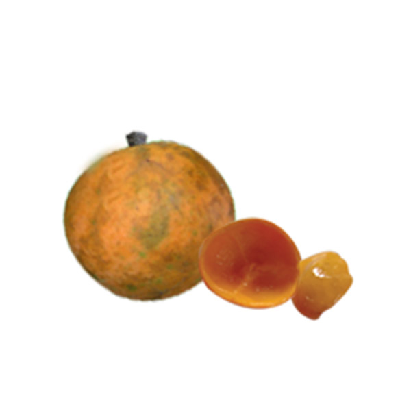 Crops – Department of Agriculture Sri lanka