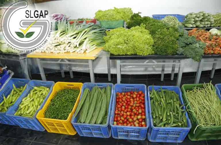SL-GAP-Certification – Department of Agriculture Sri lanka