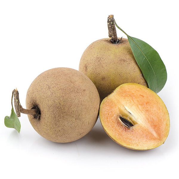 Crops – SI – Department of Agriculture Sri lanka