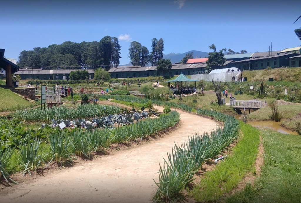 Agro Tourism – Department of Agriculture Sri lanka
