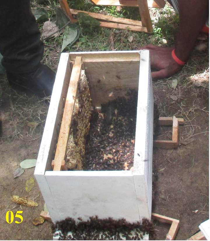 ETC-services- Bee development - Department of Agriculture Sri lanka