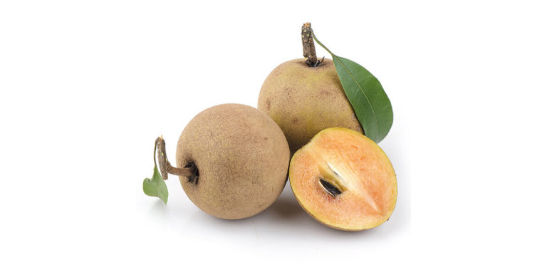 Fruit Crops – Sapota-E – Department of Agriculture Sri lanka