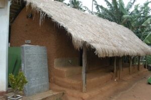 Gannoruwa-6 – Department of Agriculture Sri lanka