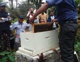 ETC-Bee_development_unit - si - Department of Agriculture Sri lanka